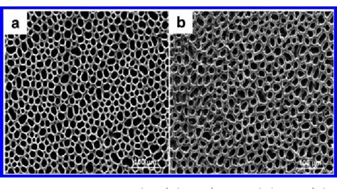 Figure 10 From Preparation Of Microporous Silicone Rubber Membrane With Tunable Pore Size Via