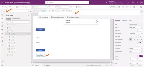 lookup powerapps function ashish coder