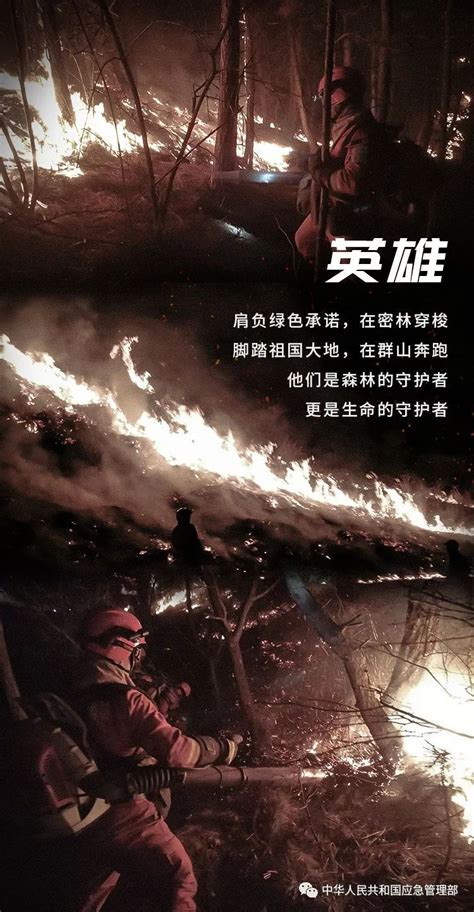 致敬！在水与火中淬炼钢铁意志的森林消防员！ 看点 华声在线