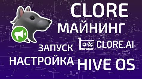 Майнинг монеты Clore настройка и запуск Hiveos Youtube