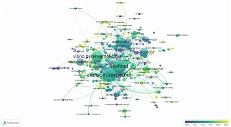 B Visualisation Of Co Occurrence Using Authors Keywords 1000 Download Scientific Diagram