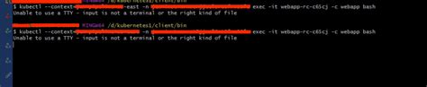 Kubernetes Kubectl Exec It Fails With Unable To Use A TTY And