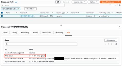 Create A Custom Patch Baseline With Ssm Patch Manager Linux Awstut