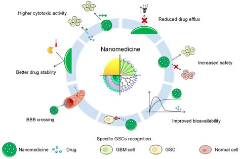 Cancers Free Full Text Nanomedicine A Useful Tool Against Glioma