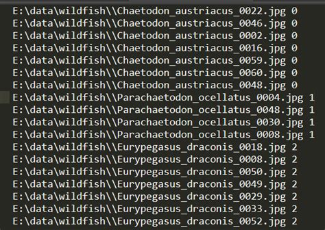 Pytorch 构建迁移学习网络以VGG16ResNet18和MobileNet V2模型为例 安智伟 博客园