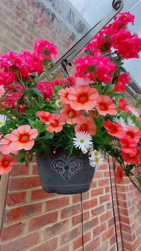 My Garden Youtube