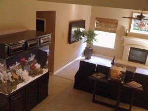 Black Cabinet Saltwater Aquarius Aquarium Inc