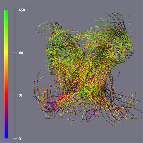multi scale color coding of torsion values on the pathlines visualized