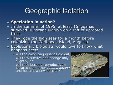 Ppt Process Of Speciation Powerpoint Presentation Free Download Id