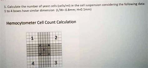1 Calculate The Number Of Yeast Cells Cellsml In The Cell Suspension Considering The