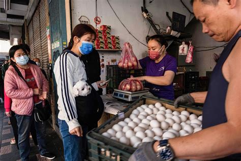 从“缺蛋”到“图利厂商”争议：巴西进口蛋何以成台湾舆论焦点｜whatsnew 端传媒 Initium Media
