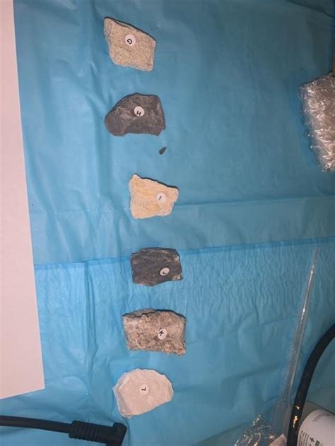 Solved Sedimentary Rocks EXERCISE 1 DATA SHEET Rock Sample Chegg