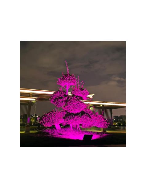 100w Rgb Solar Projector
