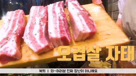 モッパン配信者『boki문복희』がチェジュ島で黒豚を食べ尽くすvlogを公開 ガラパゴスの蛙