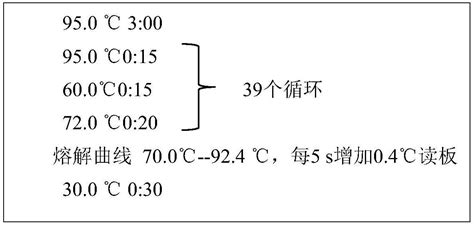 分离的环状RNA及其用途