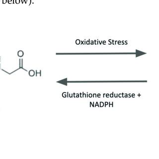 Structures Of GSH And GSSG Download Scientific Diagram
