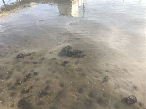 Broken Water Pipes Adventures In Oceanography And Teaching