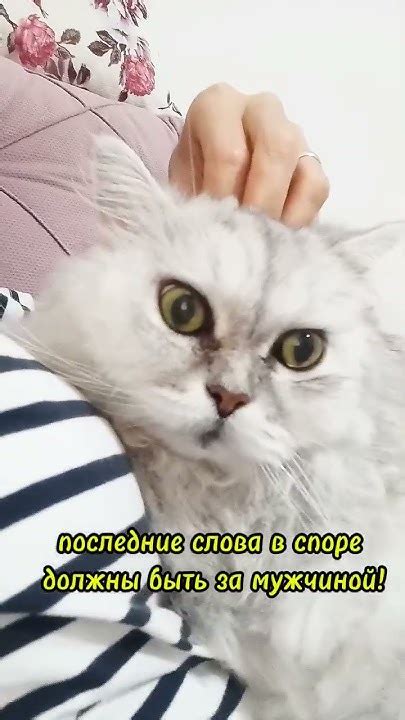 Секрет счастливой семейной жизни Youtube