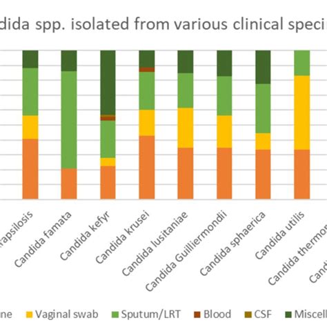Figure Candida Spp Isolated From Various Clinical Specimens