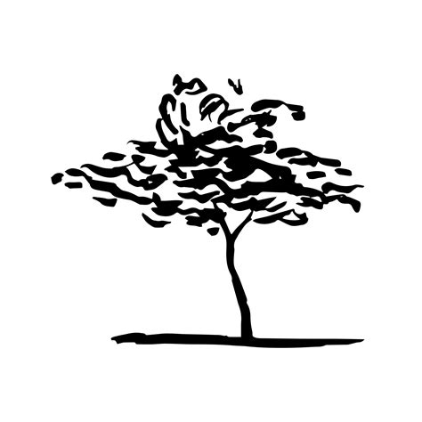 Vector Juniper Tree Hand Drawn Clip Art Hand Drawn Juniper Ink Sketch