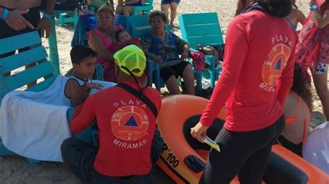 Turistas Sufren Por Presencia De Medusas En Playa De Miramar El