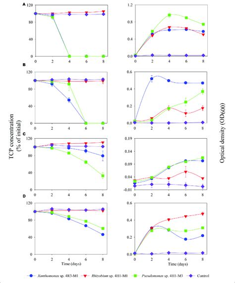 degradation of tcp externally added and corresponding growth download scientific