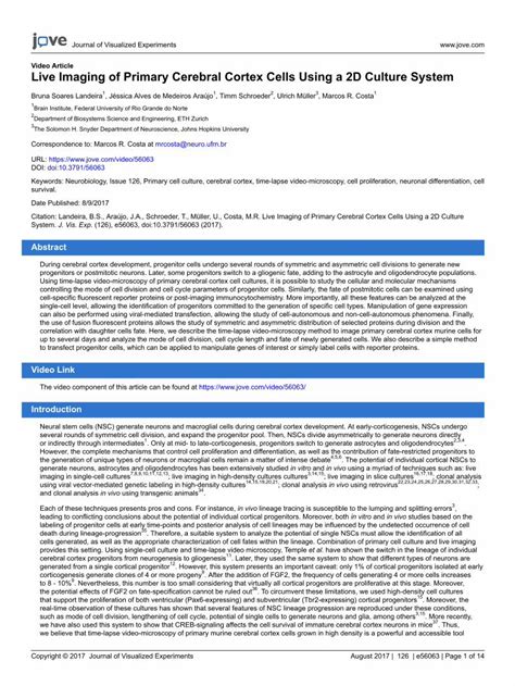 Pdf Live Imaging Of Primary Cerebral Cortex Cells Using A 2d Dokumen Tips