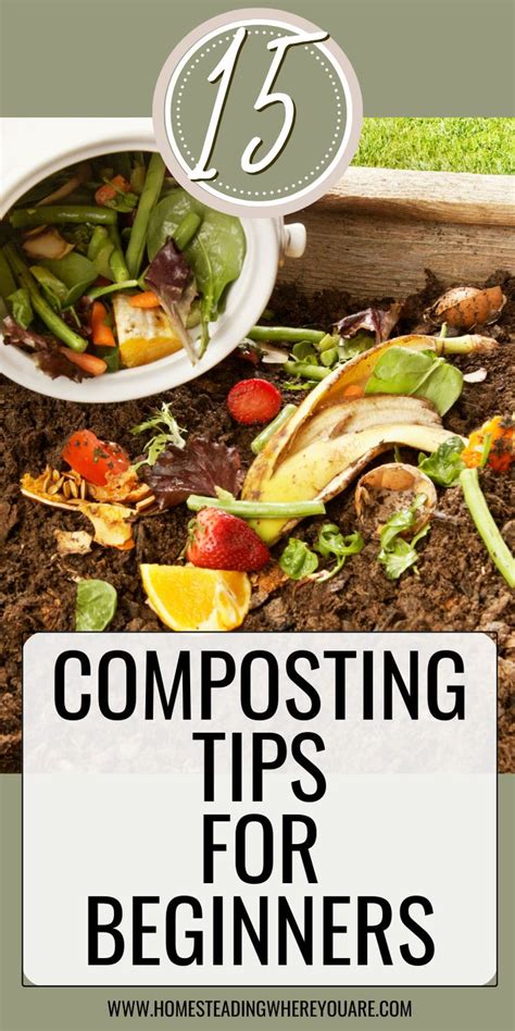 15 Composting Tips For Beginners You Need To Get Started Artofit