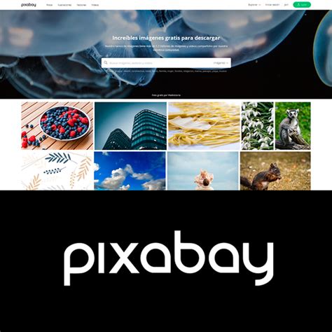 Las 10 mejores Webs de VÍDEOS DE STOCK GRATIS RBG Escuela