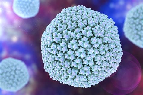 Herpes Simplex Virus