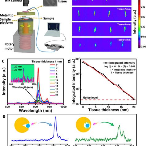 Crystal Structure And Morphology Of The As Prepared Samples A Xrd