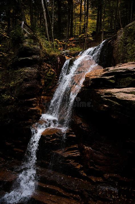 Toma Vertical De Una Cascada En Una Cueva En Un Bosque Imagen De