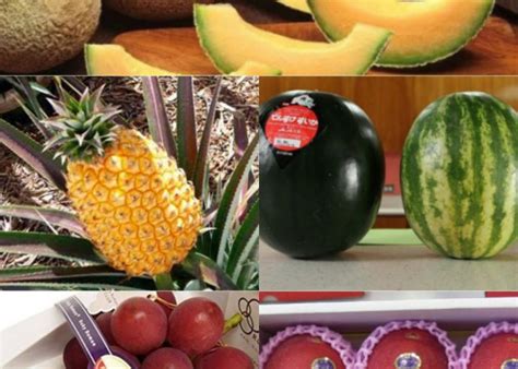 9 Buah Langka Asli Indonesia Yang Terancam Punah