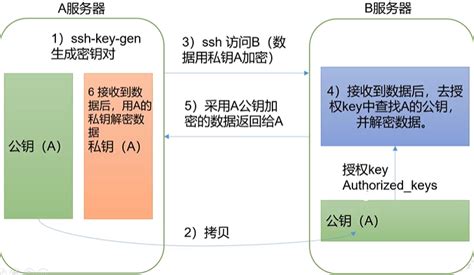 大数据hadoop的运行模式root用户下尚硅谷Hadoop入门 hadoop三种运行模式 CSDN博客 大数据hadoop的运行模式root用户下尚硅谷Hadoop入门 hadoop三种运行模式 CSDN博客