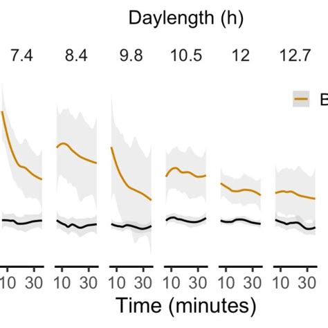 Time Activity Curves Tacs In Bat And Muscle As A Function Of Download Scientific Diagram
