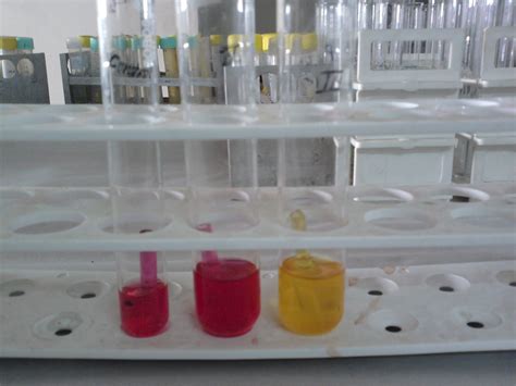 Pdf Identification Of Hydrocarbon Degrading Bacteria By Molecular