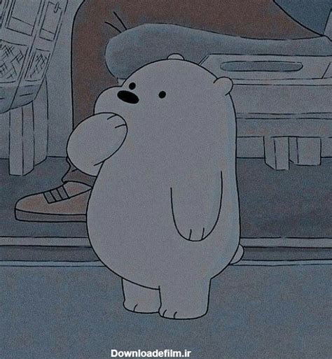 عکس پس زمینه ی خرس های کله فندقی