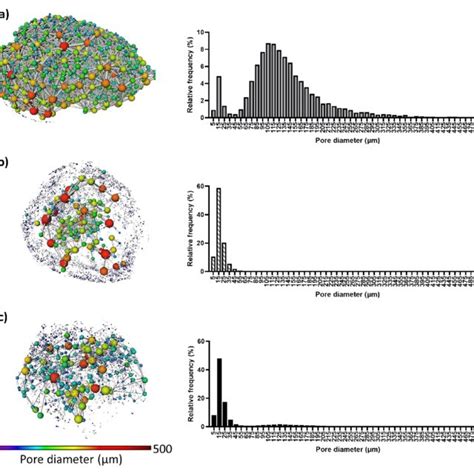 Representative 3d Pore Network From The Xct Reconstruction Of Hydrogels Download Scientific