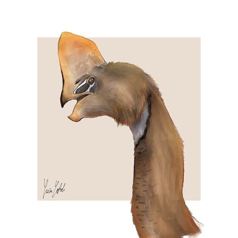Corythoraptor Jacobsi🐓 See More On My Patreon For Custom Skeletals