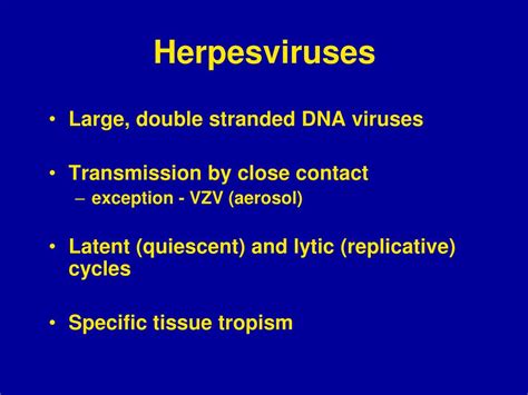 Ppt Herpes Virus Powerpoint Presentation Free Download Id3425723