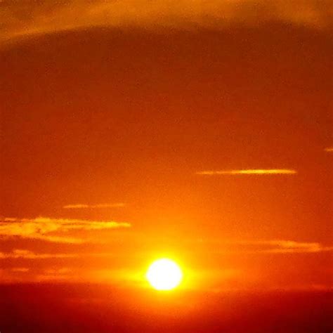 今日は溶けるような暑さでバテているエルです😅 暑かった日の夕焼けは一段と綺麗なんですよね☀ これを見るとバテた体も回復しそうです 夕焼け