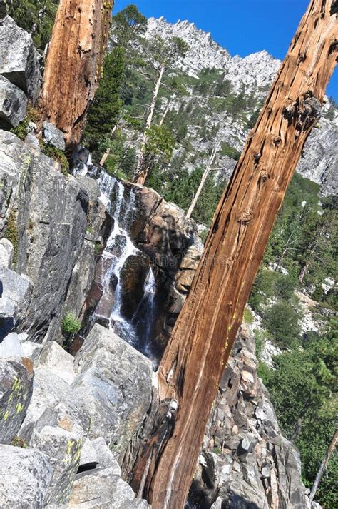 Waterfall At Lake Tahoe California Stock Image Image Of Park Pine