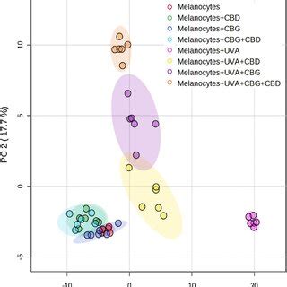 Two Dimensional Hierarchical Clustering Heat Map Of The 25 Main