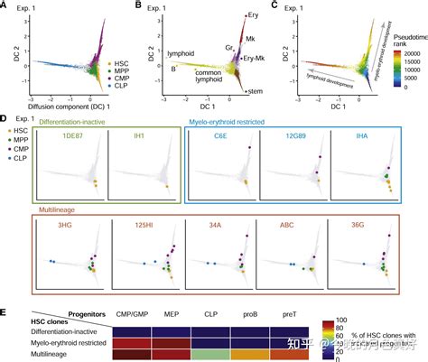 Resolving Fates And Single Cell Transcriptomes Of Hsc Clones By