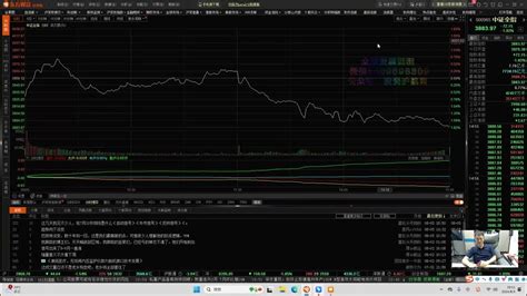 薛松松柏出鞘240805 Youtube