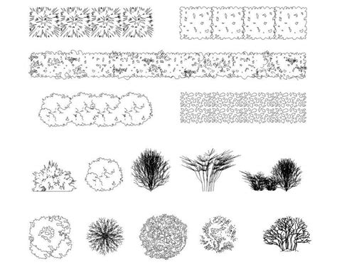 Bushes Plan Dwg File