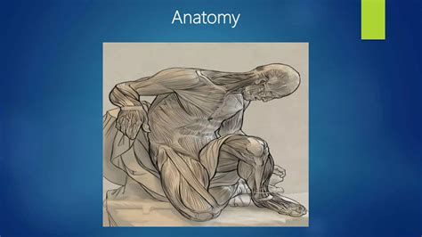 Scheuermanns Disease Pptx