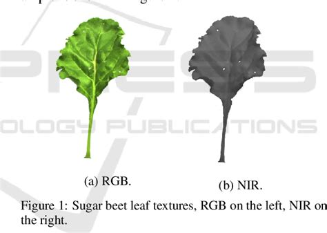 Figure From Simulation Of Near Infrared Sensor In Unity For Plant