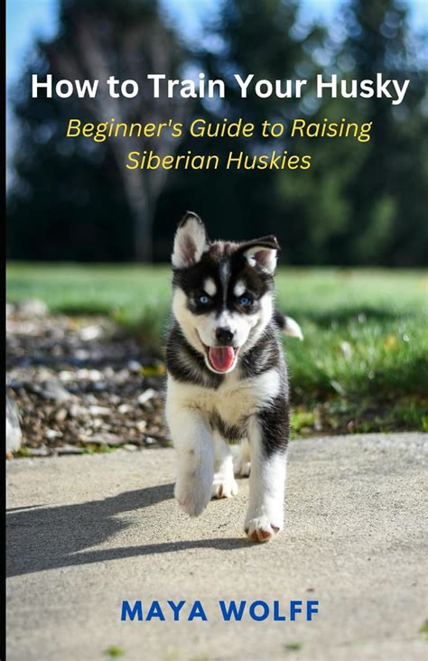 How To Train Your Husky Beginners Guide To Raising Siberian Huskies