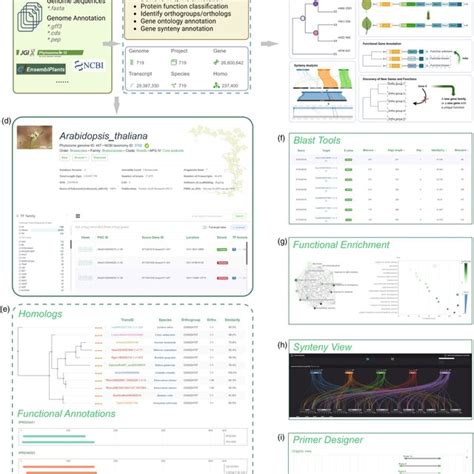 Pdf Pgcp A Comprehensive Database Of Plant Genomes For Comparative Phylogenomics